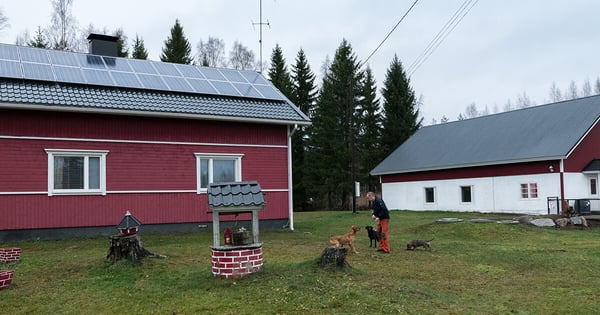 Miten aurinkopaneeleiden tuottoa voi ennustaa?
