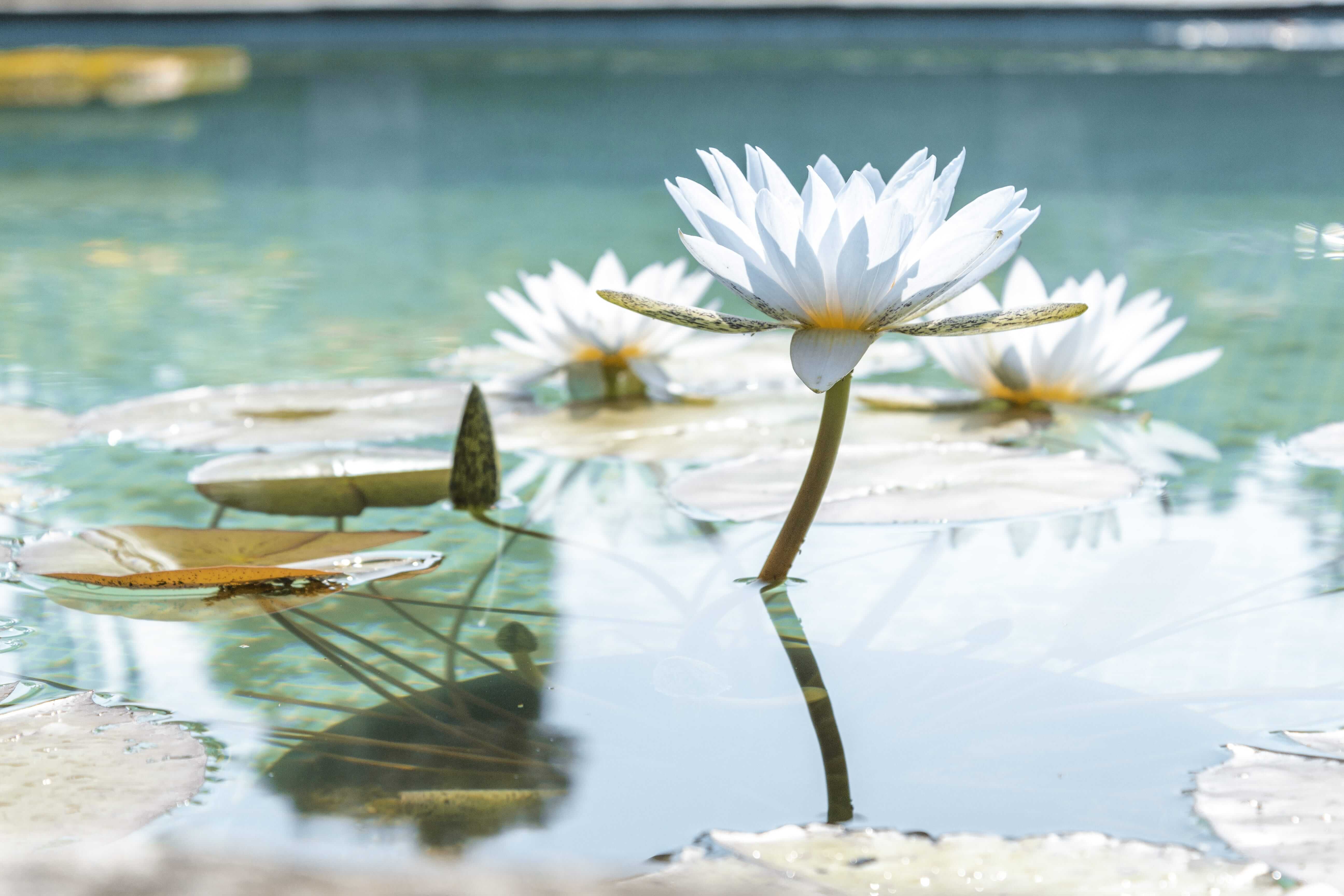 Kirjaudu sisään | Lumme Energia